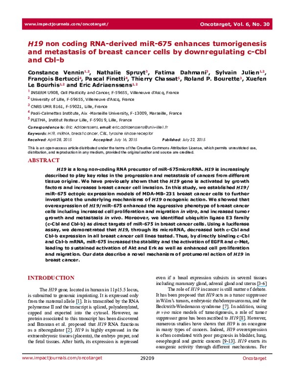 (PDF) H19 non coding RNA-derived miR-675 enhances tumorigenesis and ...