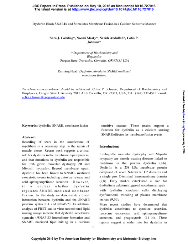 (PDF) Dysferlin Binds SNAREs and Stimulates Membrane Fusion in a ...