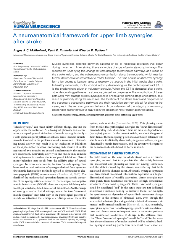 (PDF) A Neuroanatomical Framework for Upper Limb Synergies after Stroke