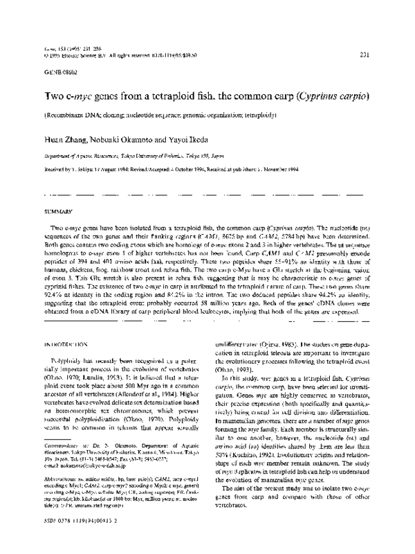 (PDF) Two c- myc genes from a tetraploid fish, the common carp ...