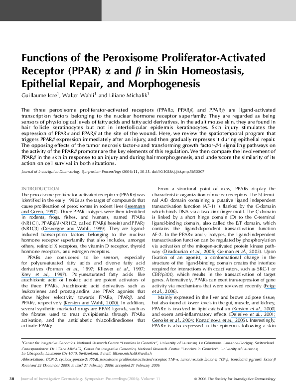 (PDF) Functions of peroxisome proliferator-activated receptors (PPAR ...