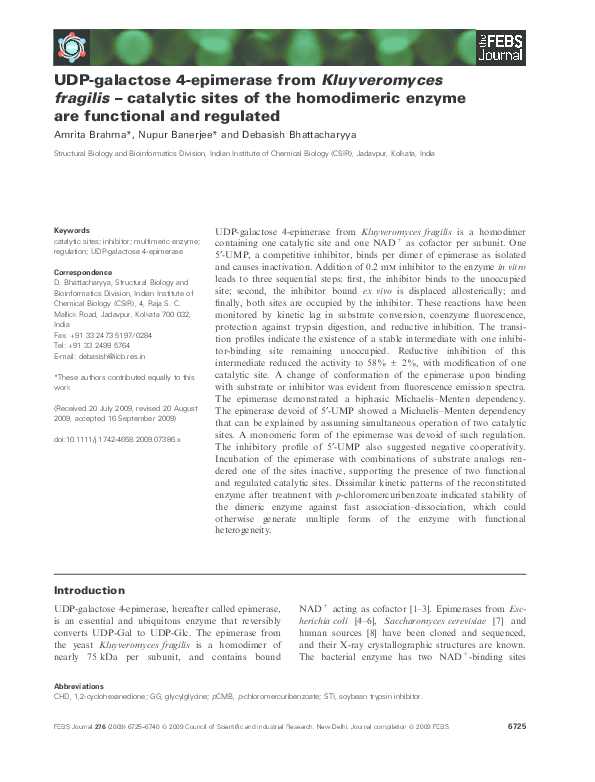 (PDF) UDP-galactose 4-epimerase from Kluyveromyces fragilis - catalytic ...