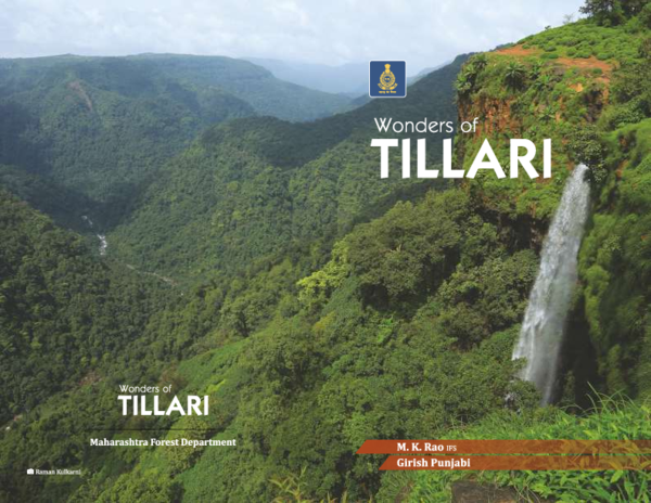(PDF) Wonders of Tillari