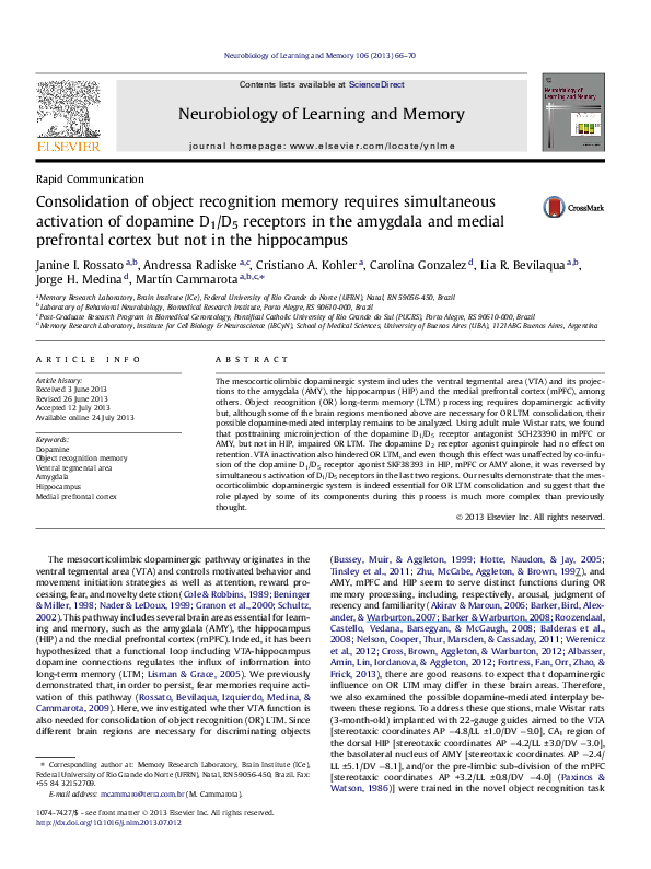 (PDF) Consolidation of object recognition memory requires simultaneous ...