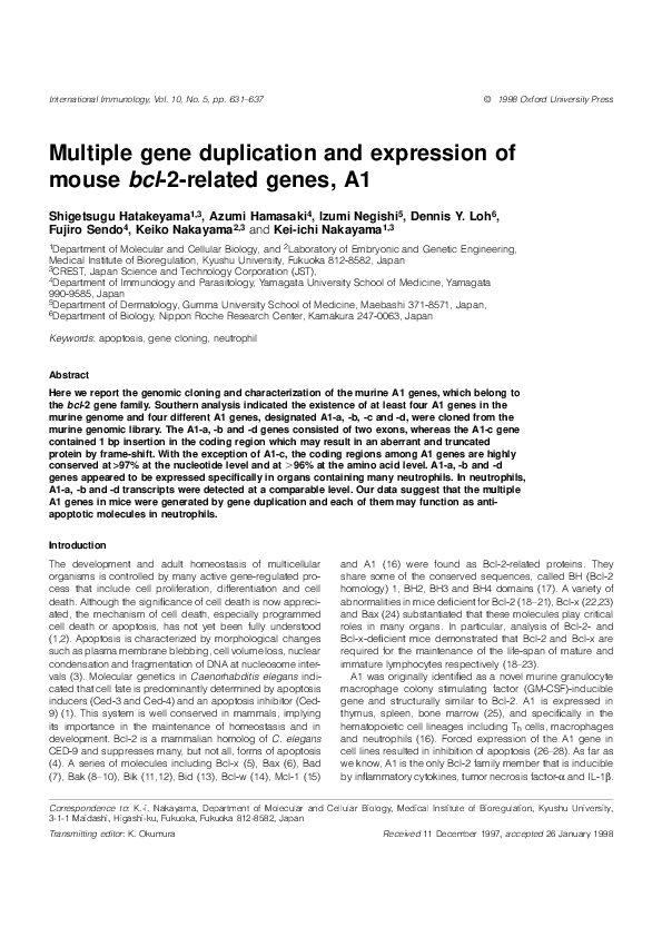 (PDF) Multiple gene duplication and expression of mouse bcl-2-related ...
