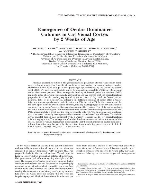 (PDF) Emergence of ocular dominance columns in cat visual cortex by 2 ...