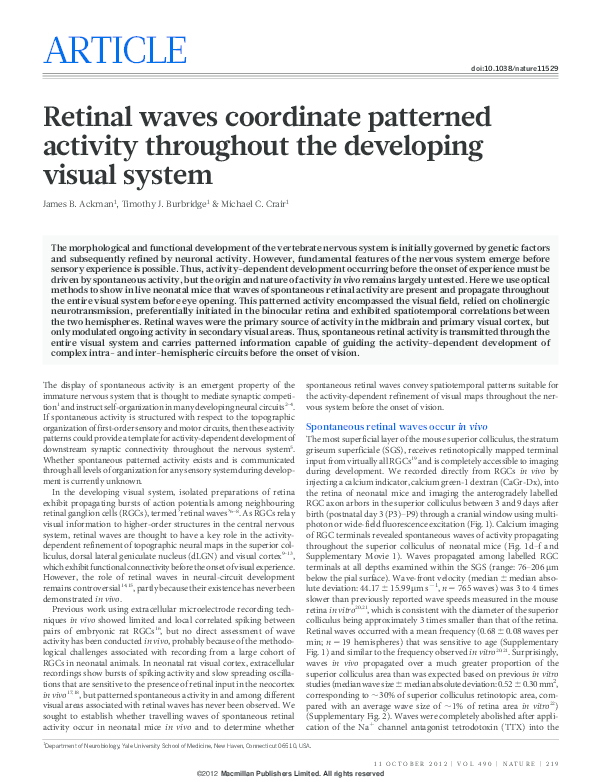 (PDF) Retinal waves coordinate patterned activity throughout the developing visual system ...