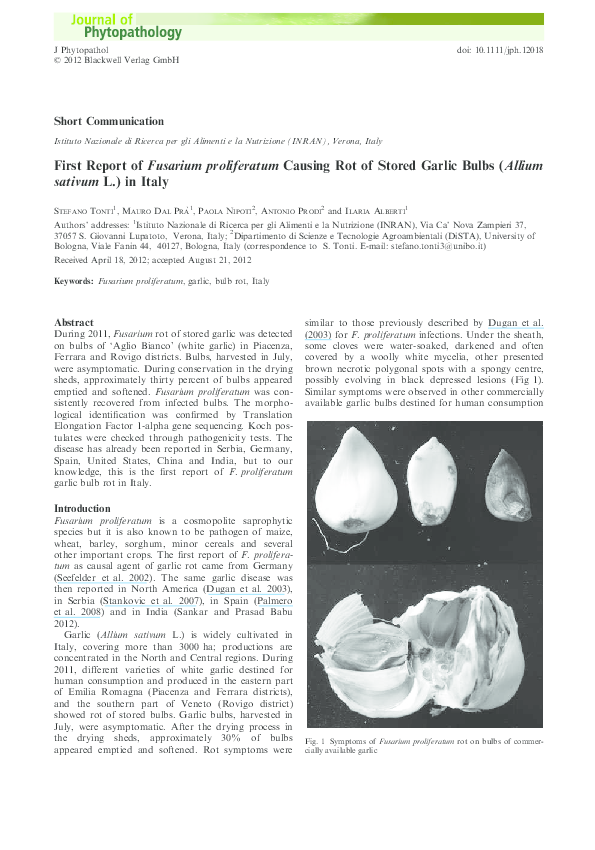 (PDF) First Report of Fusarium proliferatum Causing Rot of Stored ...