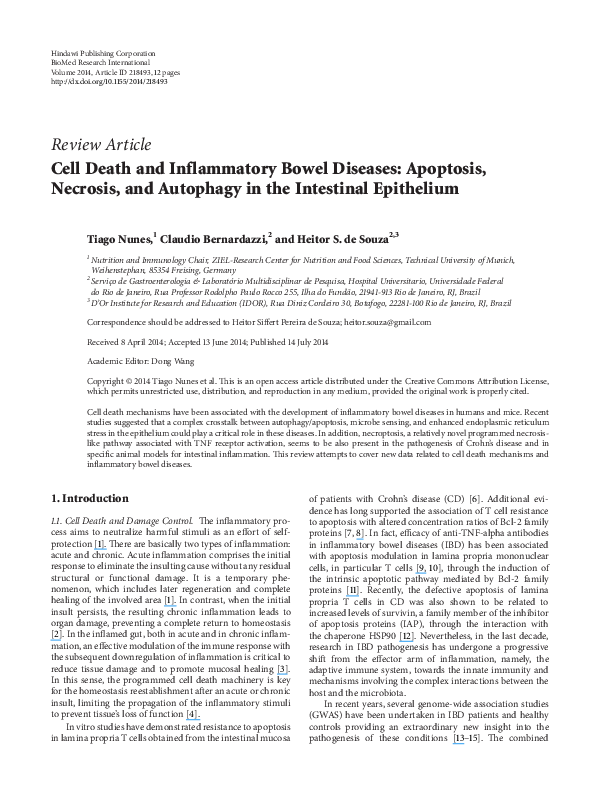 (PDF) Cell Death and Inflammatory Bowel Diseases: Apoptosis, Necrosis ...