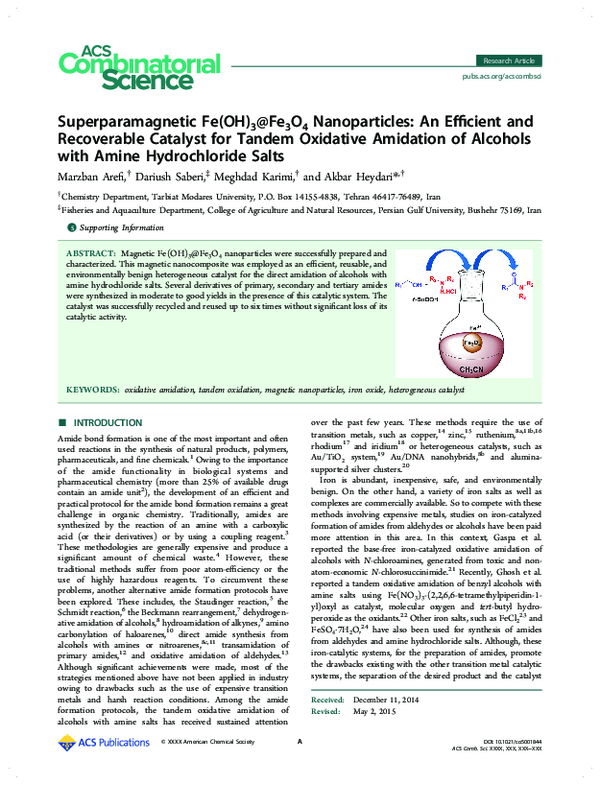 (PDF) Superparamagnetic Fe(OH)3@Fe3O4 nanoparticles: An efficient and ...