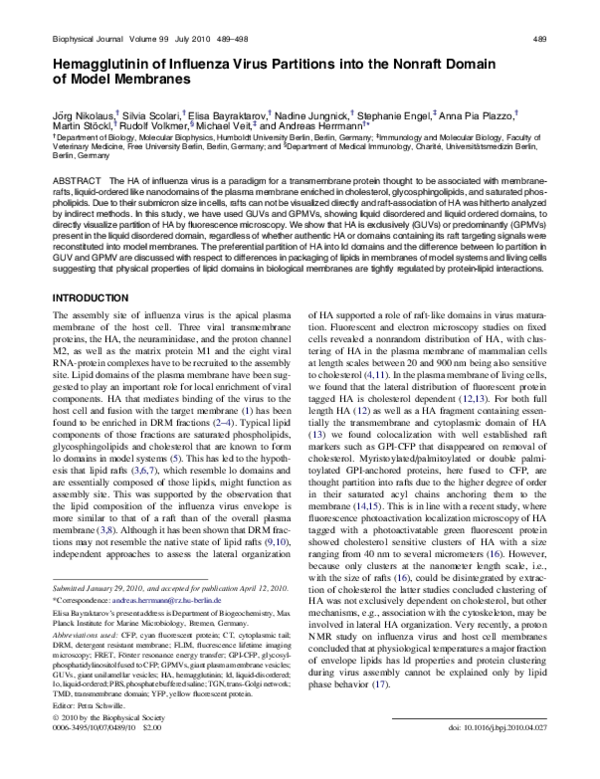 (PDF) Hemagglutinin of influenza virus partitions into the nonraft ...