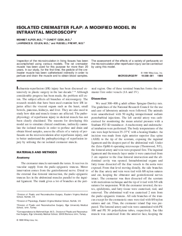 (PDF) Isolated cremaster flap: A modified model in intravital microscopy
