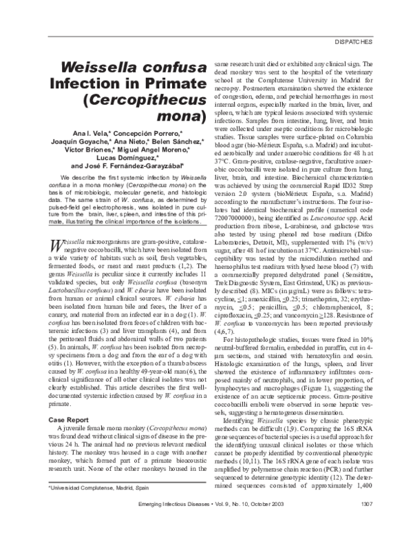 Pdf Weissella Confusa Infection In Primate Cercopithecus Mona