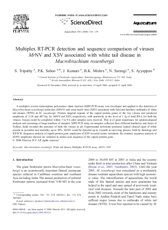 Pdf Multiplex Rt Pcr Detection And Sequence Comparison Of Viruses