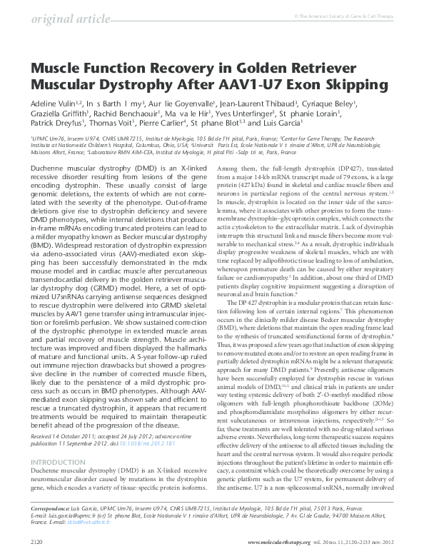 (PDF) Muscle Function Recovery in Golden Retriever Muscular Dystrophy ...