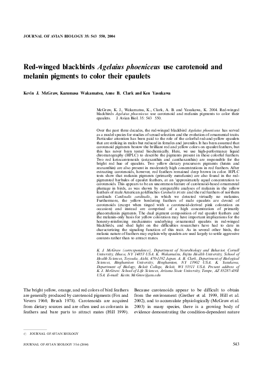 (PDF) Red-winged blackbirds Agelaius phoeniceus use carotenoid and ...