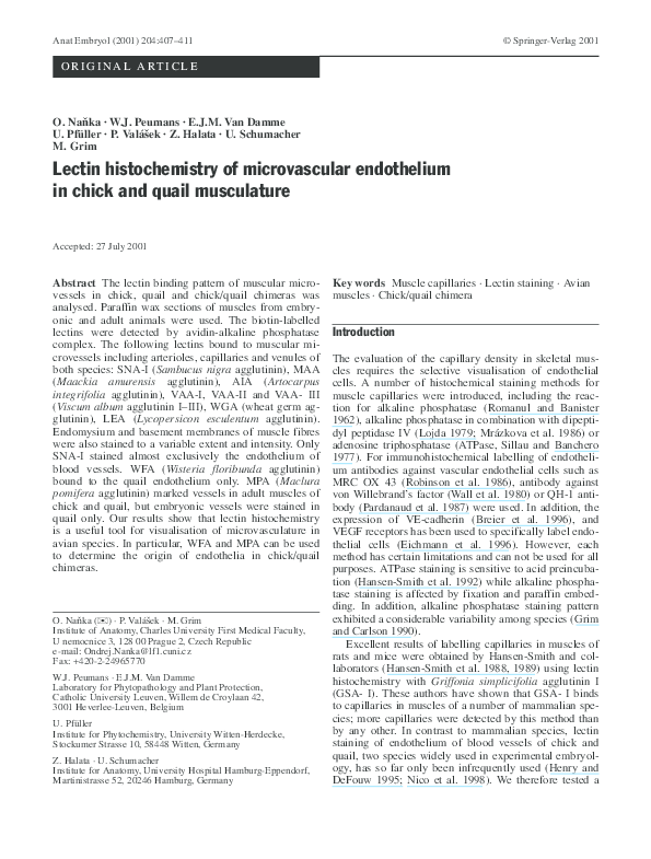 (PDF) Lectin histochemistry of microvascular endothelium in chick and ...