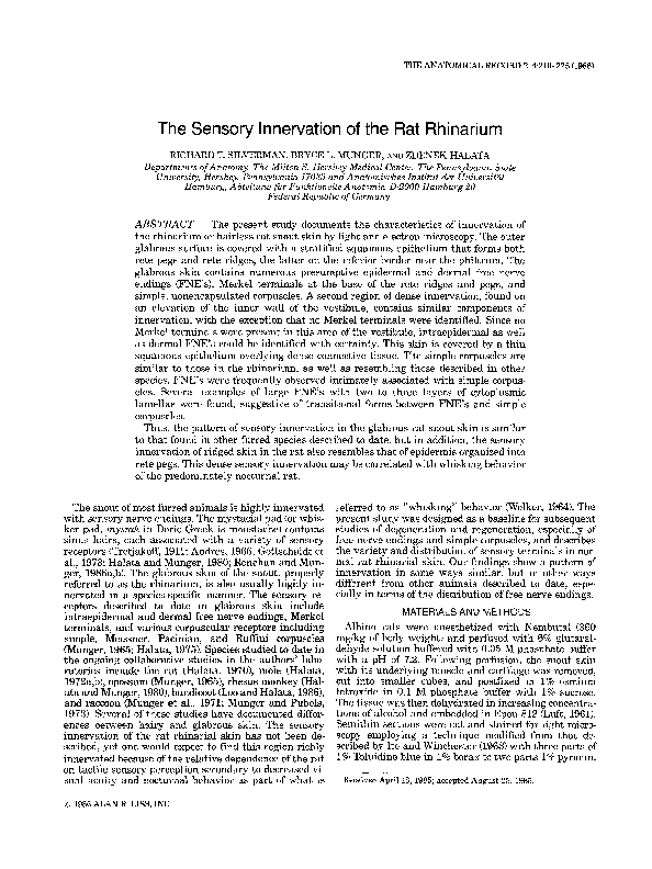 (PDF) The sensory innervation of the rat rhinarium | Zdenek Halata ...