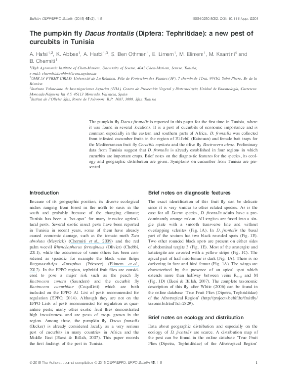 (PDF) The pumpkin fly Dacus frontalis (Diptera: Tephritidae): a new ...