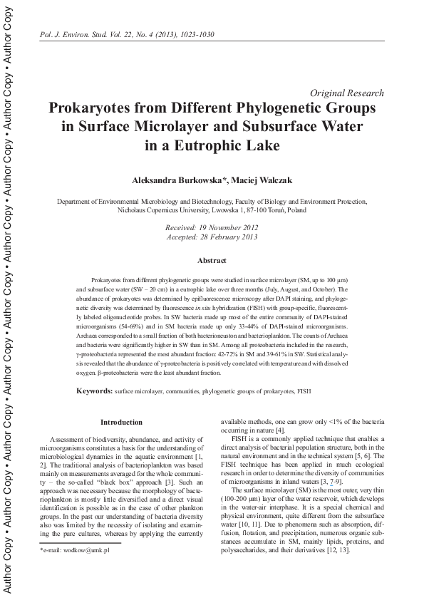 (PDF) Prokaryotes from different phylogenetic groups in surface ...