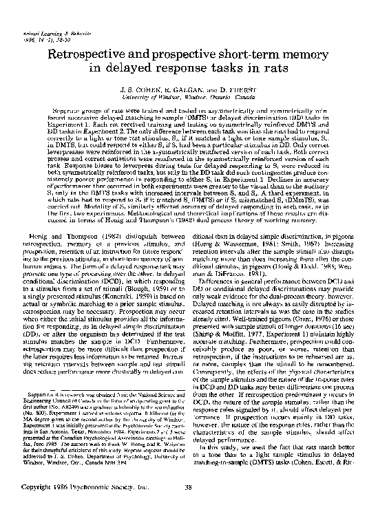 (PDF) Retrospective and prospective short-term memory in delayed ...