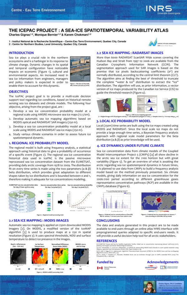 (PDF) The IcePAC project: A sea-ice spatiotemporal variability atlas