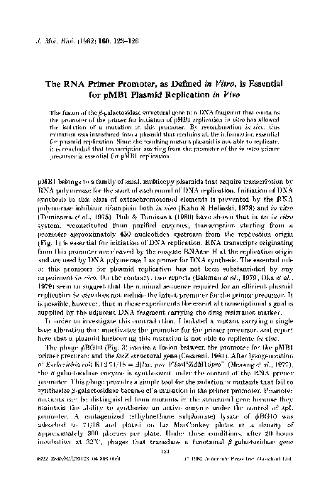 (PDF) The RNA primer promoter, as defined in vitro, is essential for ...