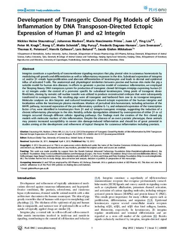 (PDF) Development of Transgenic Cloned Pig Models of Skin Inflammation ...