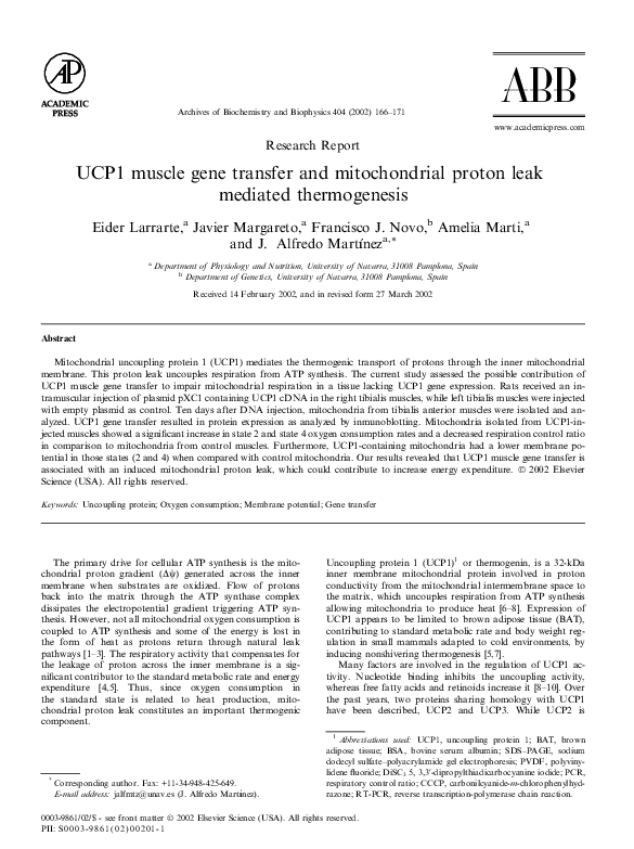 (PDF) UCP1 Gene Transfer Enhances Mitochondrial Leak