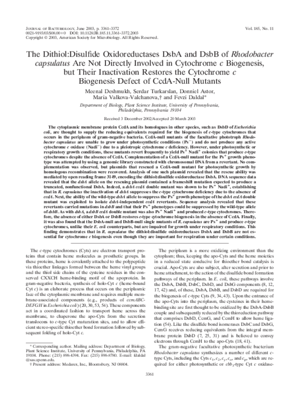 (PDF) The Dithiol:Disulfide Oxidoreductases DsbA and DsbB of ...