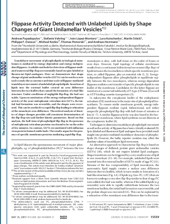 (PDF) Flippase Activity Detected with Unlabeled Lipids by Shape Changes ...