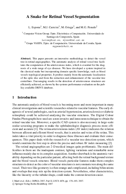 (PDF) A Snake for Retinal Vessel Segmentation (PDF) A Snake for Retinal Vessel Segmentation