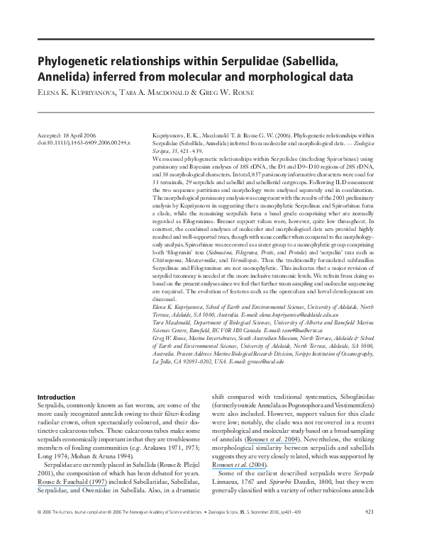 (PDF) Phylogenetic relationships within Serpulidae (Sabellida, Annelida ...