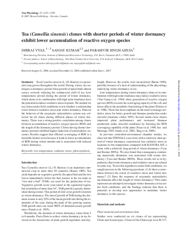 (PDF) Tea (Camellia sinensis) clones with shorter periods of winter ...
