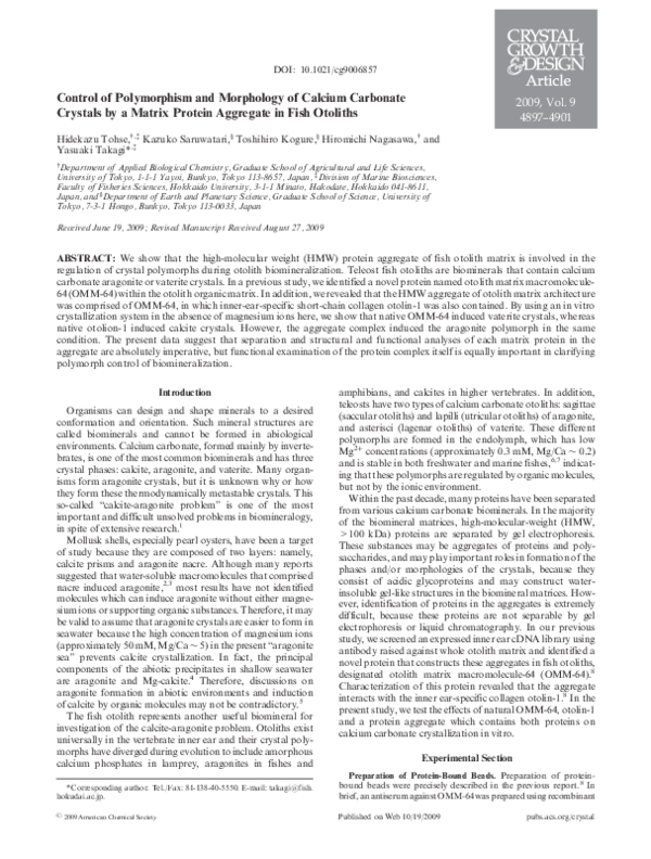 (PDF) Control of polymorphism and morphology of calcium carbonate ...