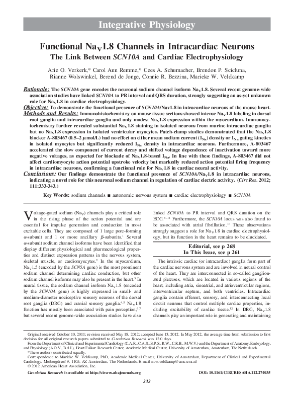 (PDF) Functional NaV1.8 Channels in Intracardiac Neurons: The Link ...