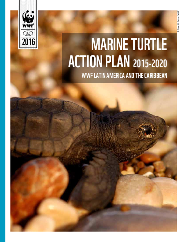 (PDF) MARINE TURTLE ACTION PLAN 2015-2020 WWF LATIN AMERICA AND THE ...