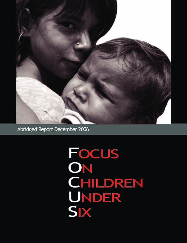 (PDF) FOCUS report