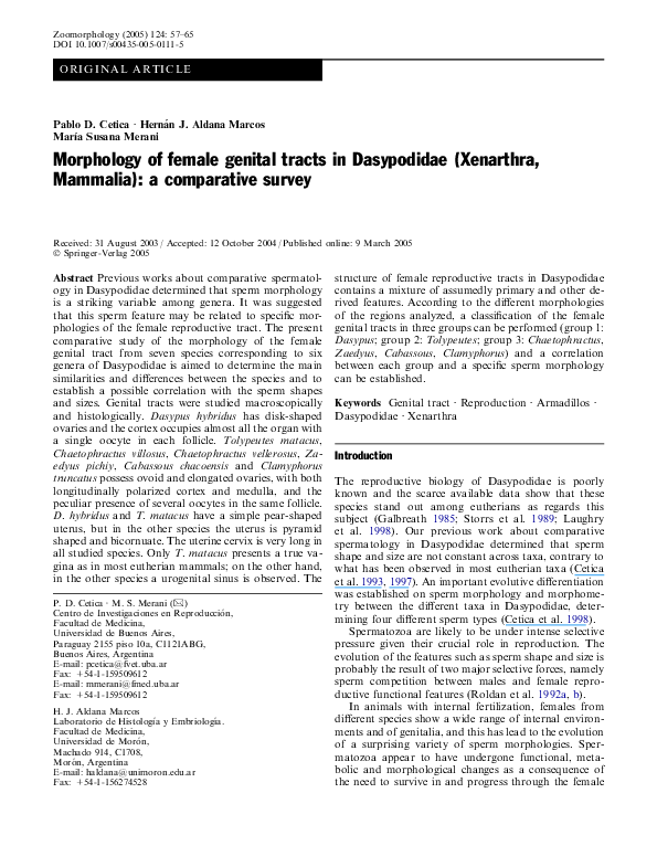 (PDF) Morphology of female genital tracts in Dasypodidae (Xenarthra, Mammalia): a comparative ...