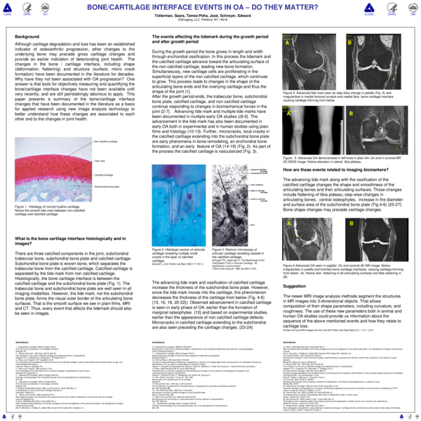 (PDF) BONE/CARTILAGE INTERFACE EVENTS IN OA DO THEY MATTER?