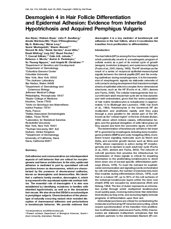 (PDF) Desmoglein 4 in Hair Follicle Differentiation and Epidermal Adhesion
