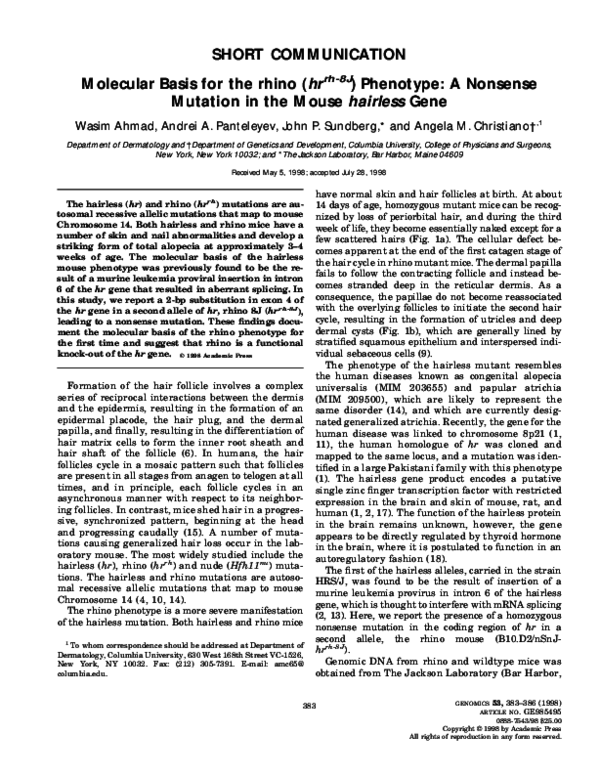 (PDF) Molecular Basis for the rhino (hrrh-8J)Phenotype: A Nonsense ...