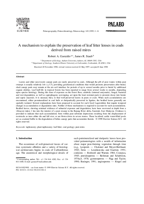 (PDF) A mechanism to explain the preservation of leaf litter lenses in ...