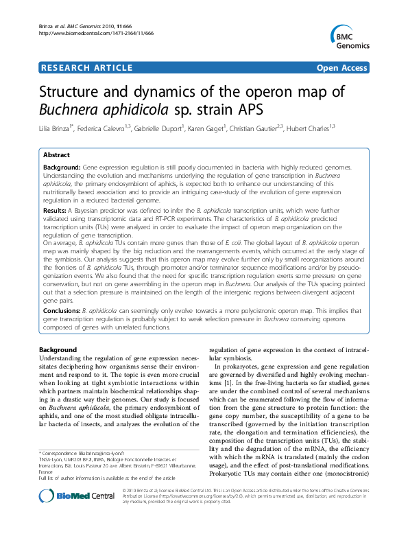 (PDF) Structure and dynamics of the operon map of Buchnera aphidicola ...