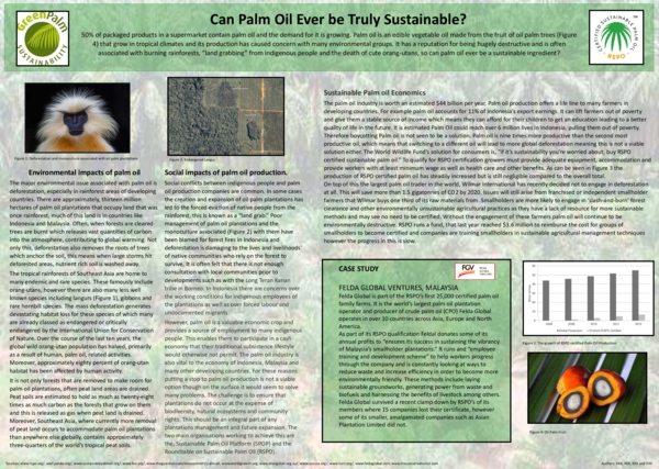 (PDF) Can Palm Oil Ever be Truly Sustainable? Environmental impacts of ...