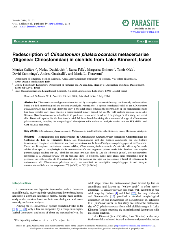 (PDF) Redescription of Clinostomum phalacrocoracis metacercariae ...
