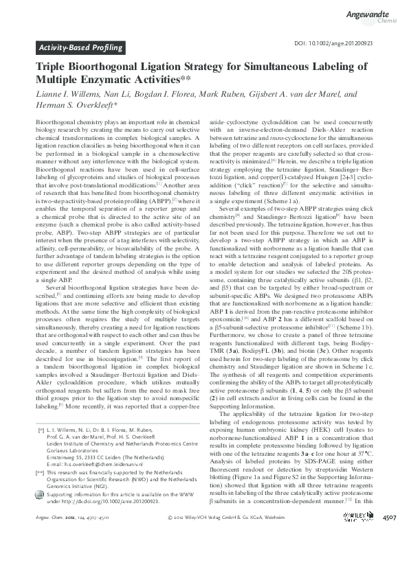 (PDF) Triple Bioorthogonal Ligation Strategy for Simultaneous Labeling ...