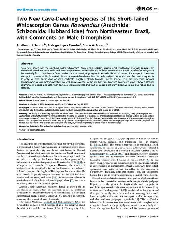 (PDF) Two new cave-dwelling species of the short-tailed Whipscorpion ...