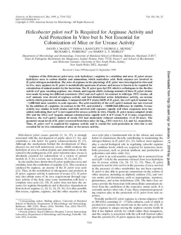 (PDF) Helicobacter pylori rocF is required for arginase activity and ...