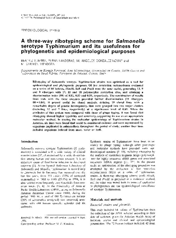 (PDF) A three-way ribotyping scheme for Salmonella serotype Typhimurium ...